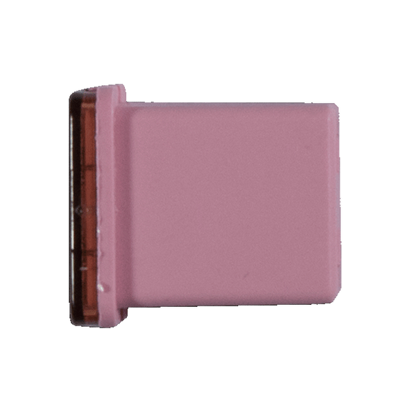 22183 - 30 AMP Low Profile J-Case Fuse – Tray Maintenance Systems, Inc.